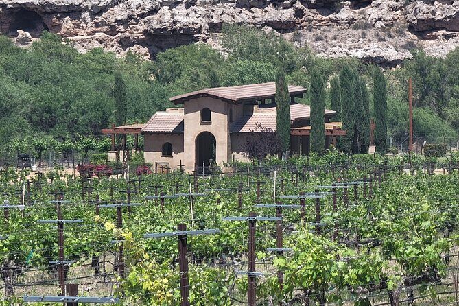 Voted Best in Sedona-Jerome & Vineyards, with Lunch & Tastings - An In-Depth Look at the Wicked Vine Wine Tour