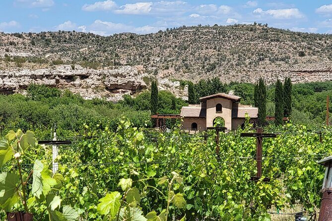 Voted Best in Sedona-Private Wine Tour of Vortex, Wine & Shopping - Why Choose This Tour?