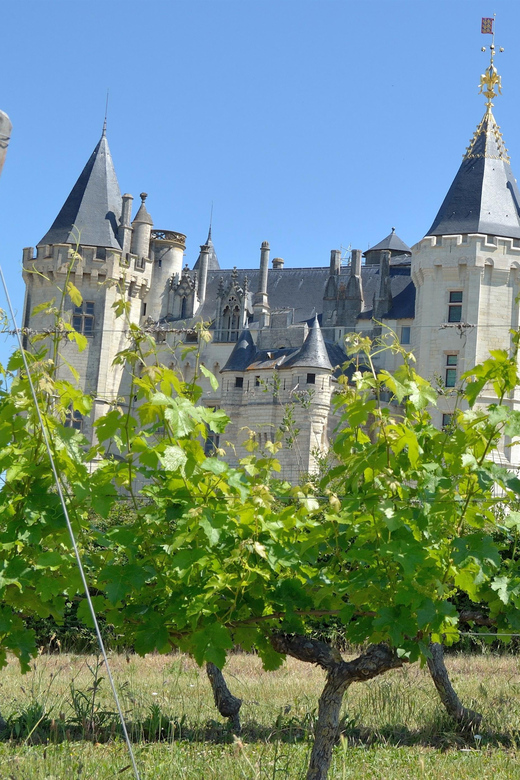 Vouvray wine half-day tour from Tours - Who Might Want to Consider Other Options?