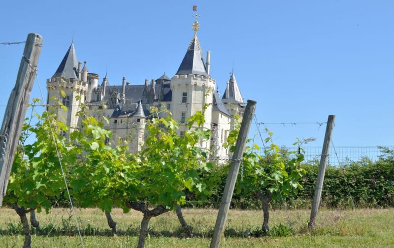 Vouvray wine half-day tour from Tours - FAQs