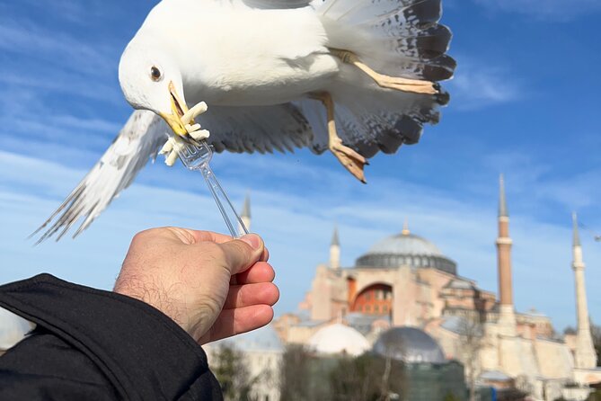 Voyager of Istanbul Top Landmark Tour - Who Would Love This Tour?
