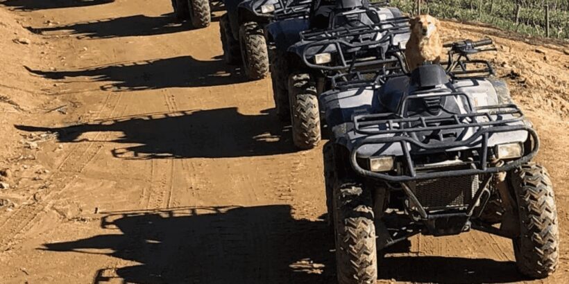 Vrede en Lust Wine Estate: 1h30m Quad Bike Trail - Who Should Consider This Tour?