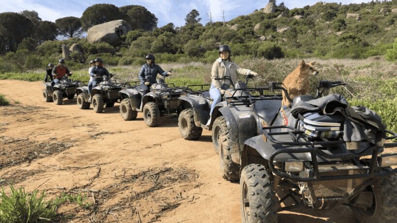 Vrede en Lust Wine Estate: 30m Quad Bike Trail - A Closer Look at the Quad Bike Experience at Vrede en Lust
