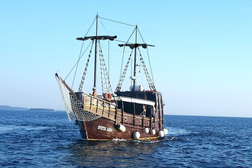 Vrsar: Dolphin Watching Boat Ride - The Sum Up