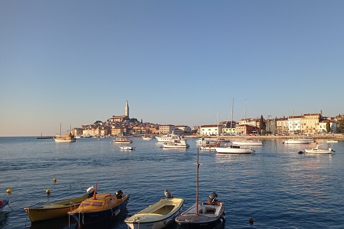 Vrsar, Lim Fjord and Rovinj Day Tour by Boat With Drinks - Accessibility and Transportation