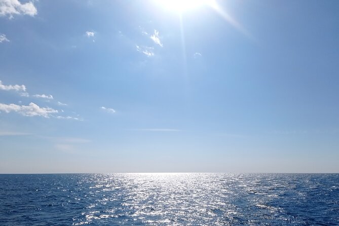 Vrsar, Lim Fjord and Rovinj Day Tour by Boat With Drinks - Exploring Vrsar and the Lim Fjord