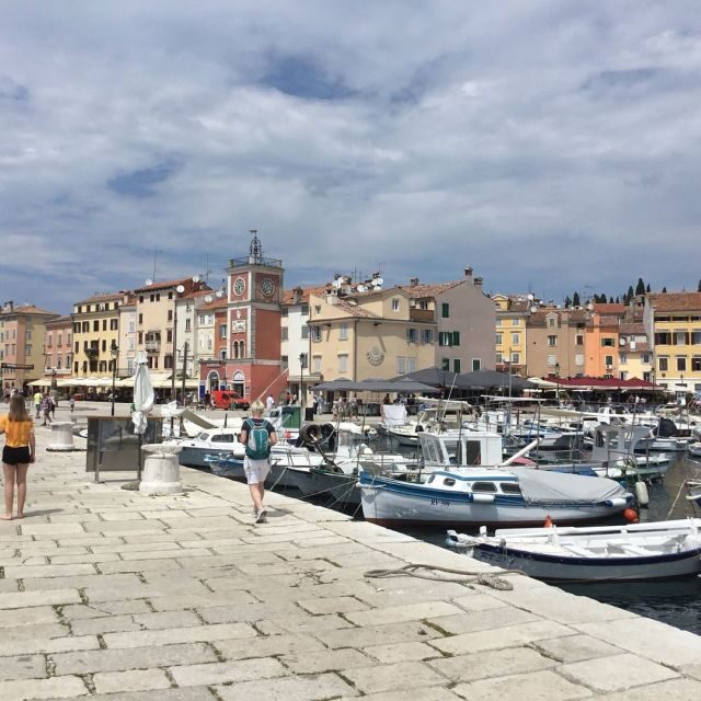 Vrsar: Lim Fjord - Rovinj Fish Picnic - A Friendly Look at the Vrsar: Lim Fjord - Rovinj Fish Picnic Tour