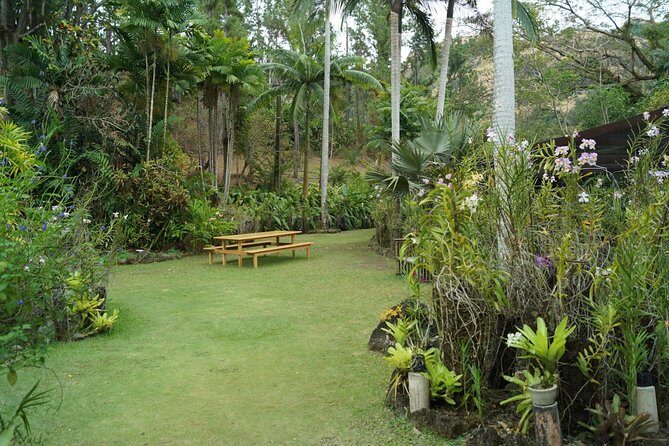 Vuda Lookout, Vesisei Village, Market, Temple & Garden of Sleeping Giant Tour - An Introduction to the Tour Experience