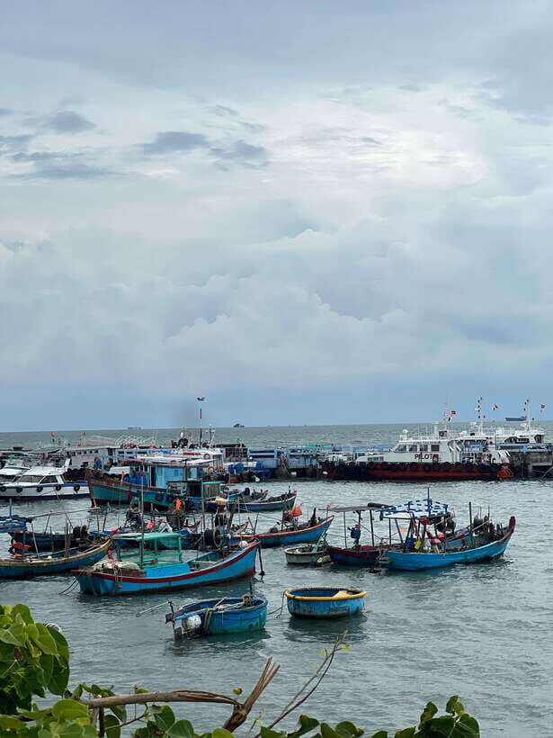 Vung Tau City Sightseeing Private Tour From Ho Chi Minh City - The Sum Up