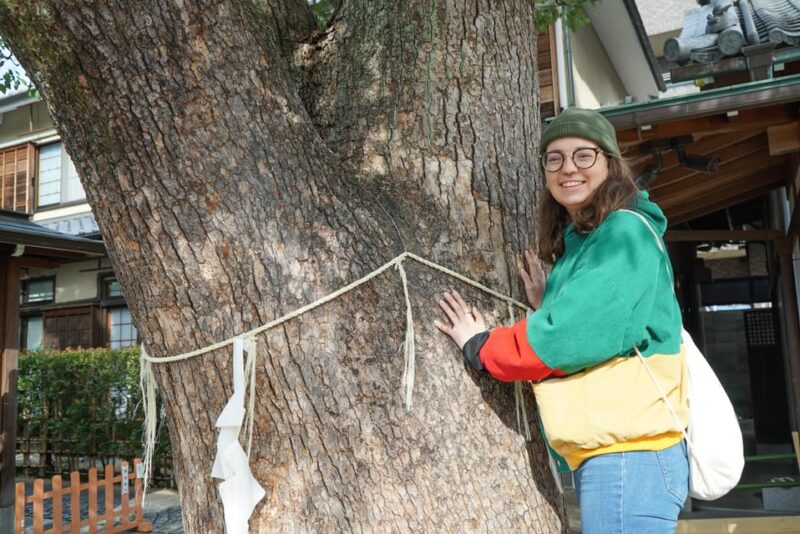 [W/Lunch] Kyoto Highlights Bike Tour With UNESCO Zen Temples - Included Amenities