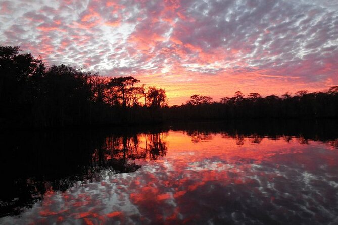 Waccamaw River Nature and Wildlife Tour - FAQ: Your Questions Answered