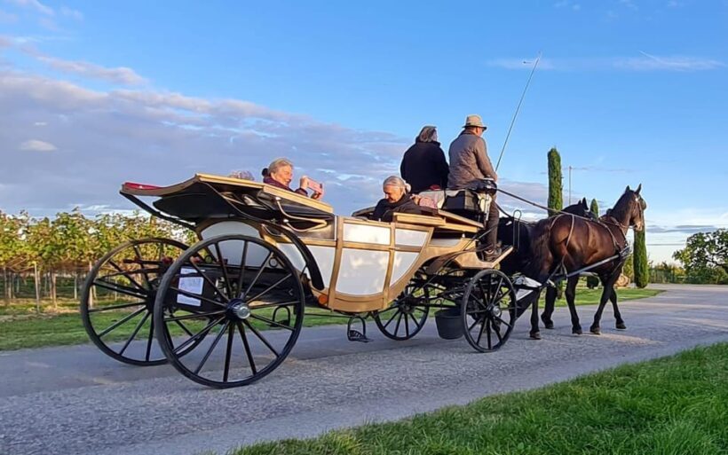 Wachau porcelain carriage A sparkling carriage ride through the vineyards - Key Points