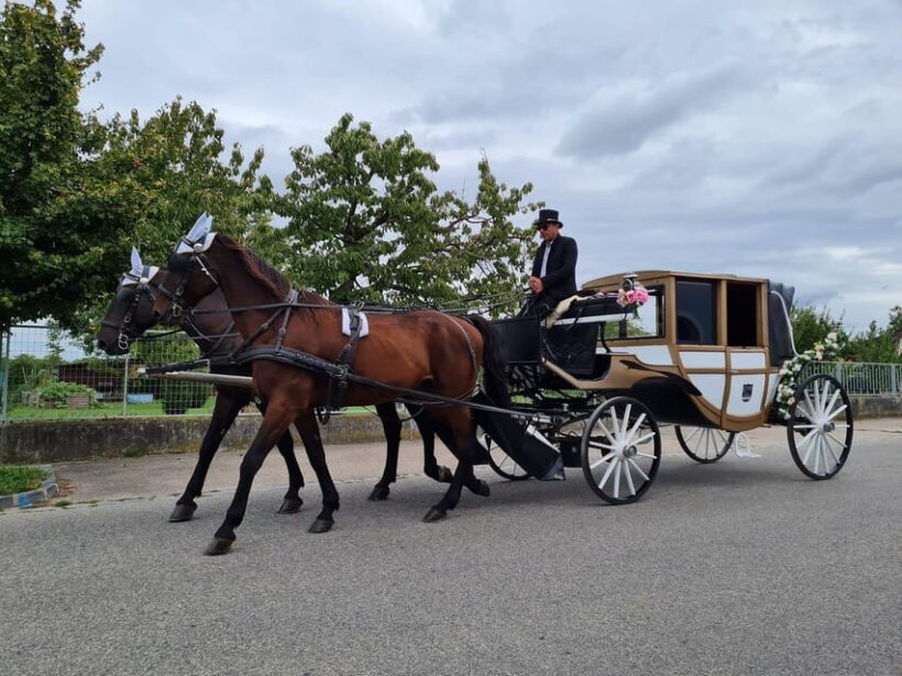 Wachau porcelain carriage A sparkling carriage ride through the vineyards - The Small Group and Personal Touch