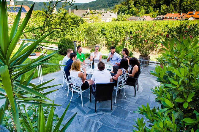 Wachau Valley Private Tour With Melk Abbey Visit and Wine Tastings From Vienna - Cruise and Melk Abbey