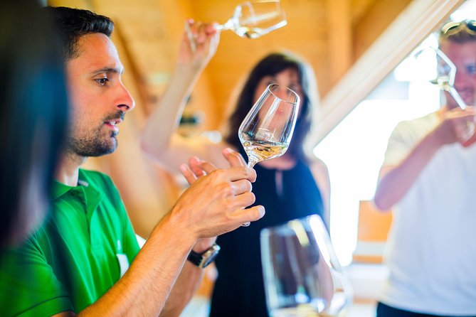 Wachau Valley Small-Group Tour and Wine Tasting from Vienna - A Closer Look at the Tour Experience