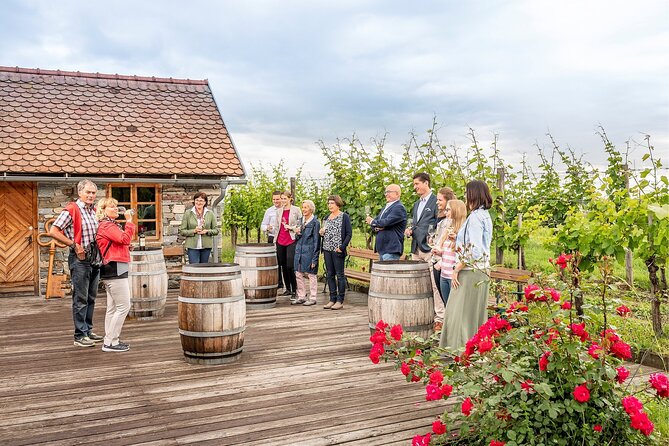 Wachau Valley Vines: A Culinary and Cultural Private Experience - Authentic Experiences and Traveler Insights