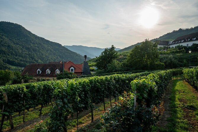 Wachau Valley Vines: A Culinary and Cultural Private Experience - The Sum Up: Who Will Love This Tour?