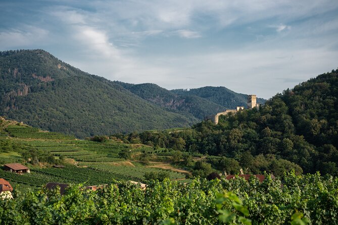 Wachau Valley Vines: A Culinary and Cultural Private Experience - FAQ
