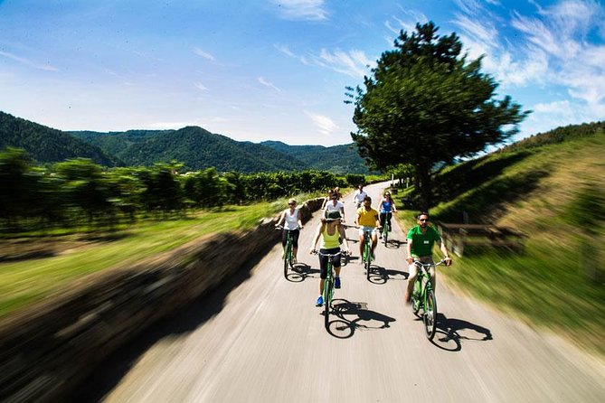 Wachau Valley Wine Tasting Bike Tour from Vienna - Who Is This Tour Best For?