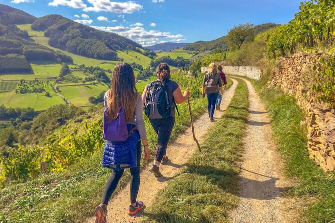 Wachau World Heritage Hike - Exploring the Wachau World Heritage Hike: A Truly Authentic Day Out