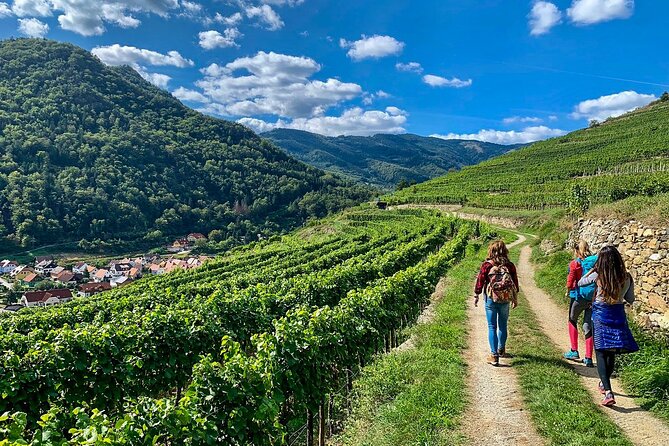 Wachau World Heritage Hike - An In-Depth Look at the Wachau Hike Experience