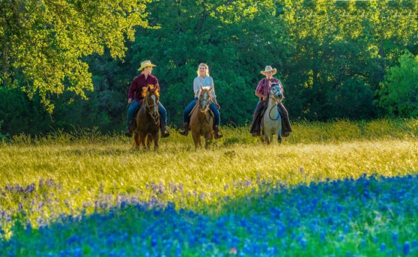 Waco: Horseback Riding Tour with Cowboy Guide - Discovering Wacos Ranch and the Cowboy Spirit