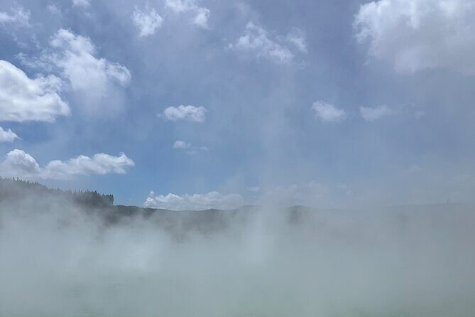 Wai-O-Tapu and Te Puia Day Trip Transport from Auckland - Who Will Love This Tour?