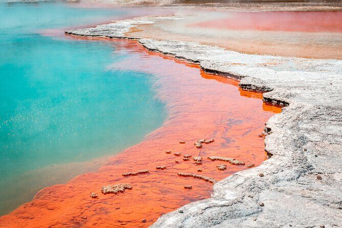Wai-O-Tapu Thermal Wonderland, Rotorua, New Zealand - Key Points