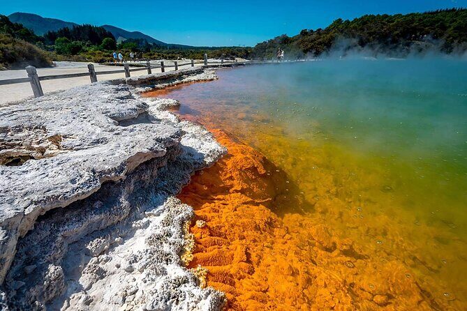 Wai-O-Tapu to Redwoods and Secret Spot Private Tour from Auckland - Key Points