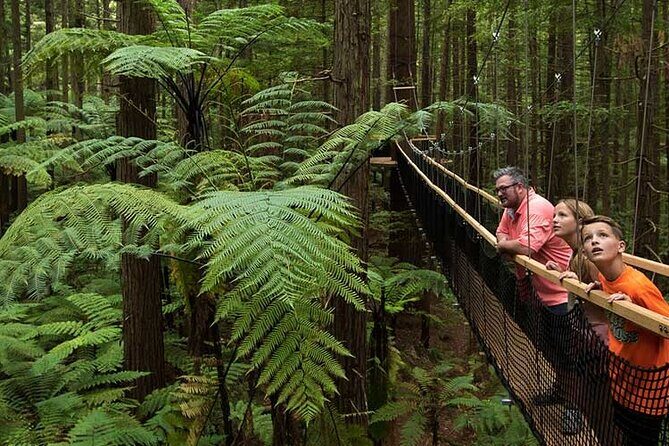 Wai-O-Tapu to Redwoods and Secret Spot Private Tour from Auckland - Analyzing the Value