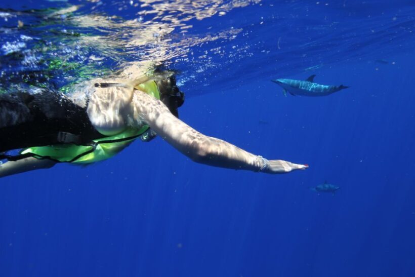 Waianae, Oahu: Swim with Dolphins (Semi-Private Boat Tour) - An Authentic Look at the Tour Experience