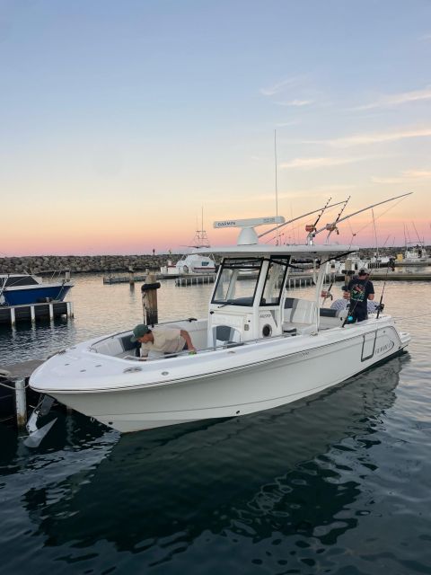 Waianae, Oahu: Swim with Dolphins (Semi-Private Boat Tour) - FAQ