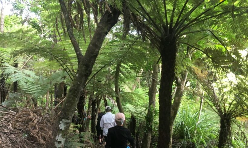 Waiheke Island: 5-Day Self-Guided Te Ara Hura Walk - An In-Depth Look at the 5-Day Self-Guided Waiheke Experience