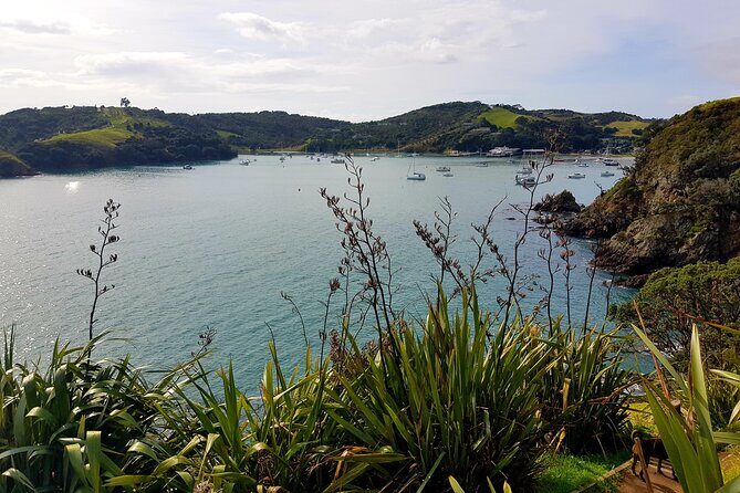 Waiheke Island 5 Day Self Guided Walking Adventure - Final Thoughts