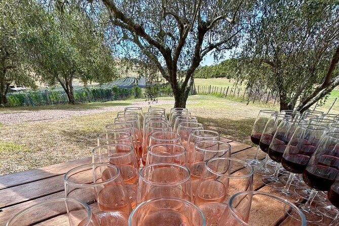 Waiheke Island Afternoon Wine Affair with VIP Lunch - The Sum Up
