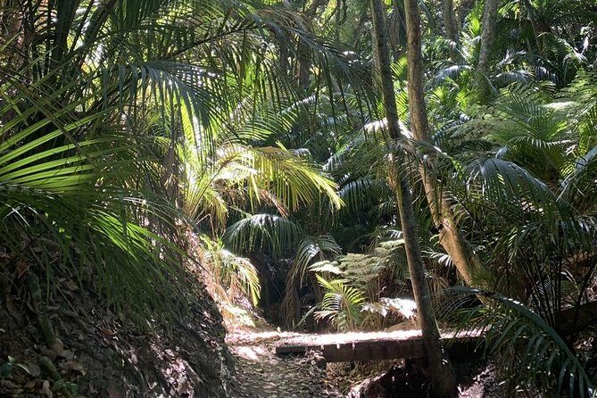 Waiheke Island Bush & Beach Walk - FAQ