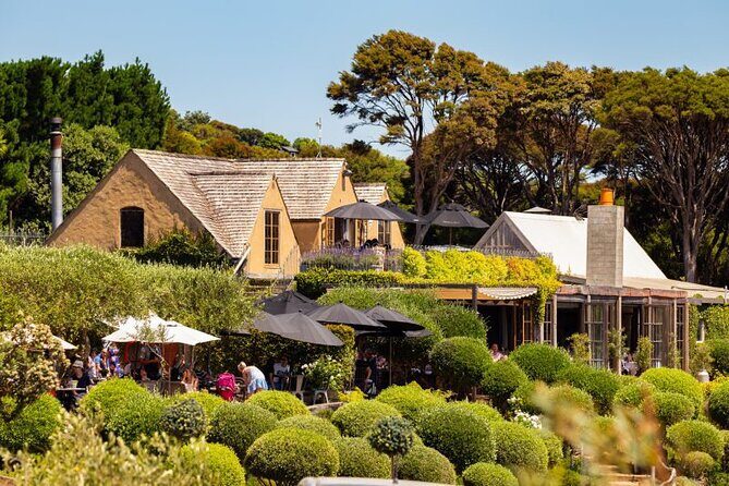 Waiheke Island Day Tour: Ziplining, Wine Tasting & Vineyard Lunch - A Closer Look at the Tour Itinerary