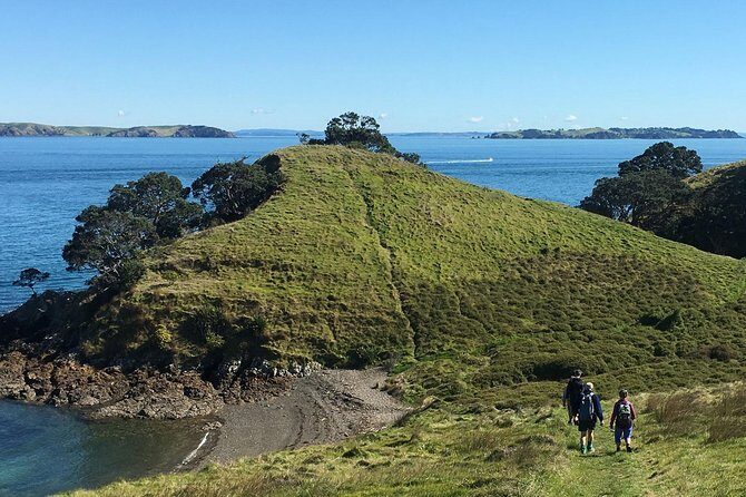Waiheke Island Double Headland Coastal Walk - Analyzing the Price: Is It Worth It?