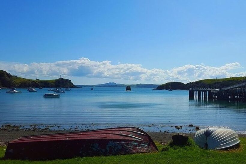 Waiheke Island: Double Headland Premium Guided Coastal Walk - An In-Depth Look at the Waiheke Coastal Walk