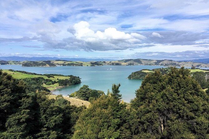Waiheke Island Experience Tour - A Beach Day to Remember at Onetangi