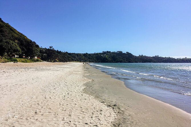 Waiheke Island Experience Tour - Authentic Experiences and Local Insights