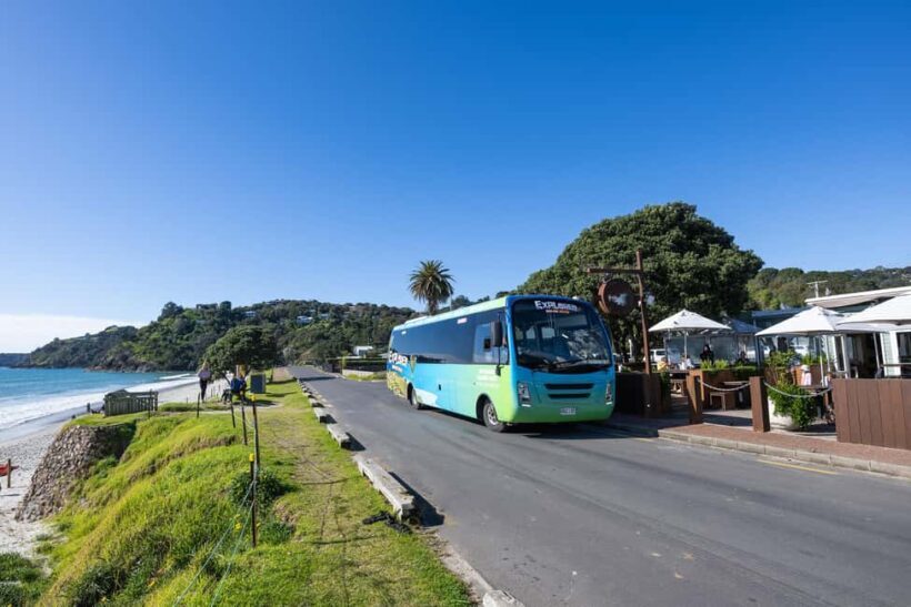 Waiheke Island: Ferry & Hop-On Hop-Off Explorer Bus Tickets - An Overview of the Waiheke Island Experience