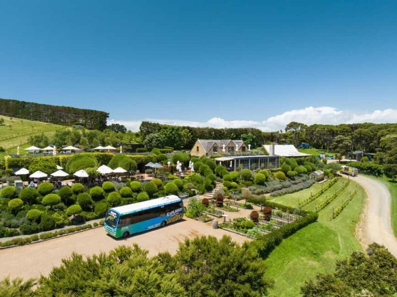 Waiheke Island: Ferry & Hop-On Hop-Off Explorer Bus Tickets - Exploring Waiheke by Bus: Convenience and Local Flavor