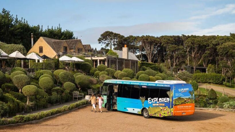 Waiheke Island: Ferry & Hop-On Hop-Off Explorer Bus Tickets - Authentic Experiences and Practicality