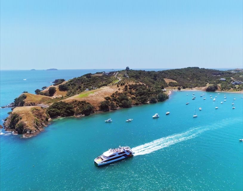 Waiheke Island: Ferry & Hop-On Hop-Off Explorer Bus Tickets - Limitations and Tips for Visitors
