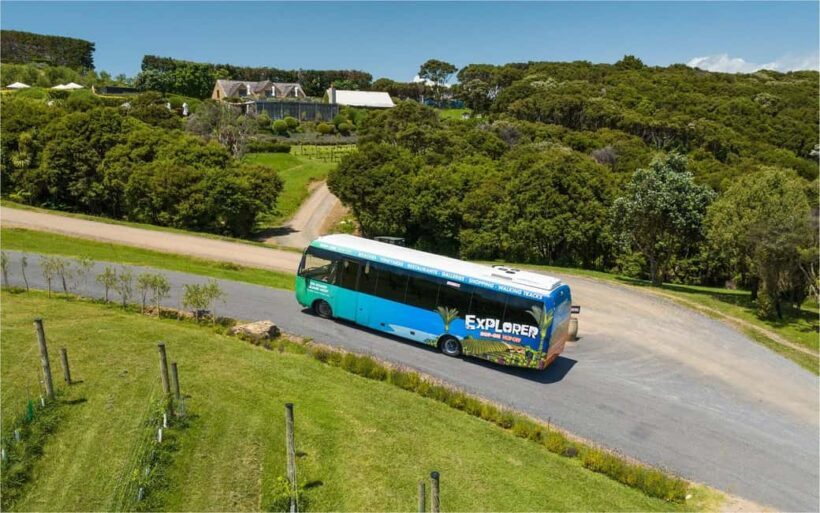 Waiheke Island: Ferry & Hop-On Hop-Off Explorer Bus Tickets - Who Will Love This Tour?