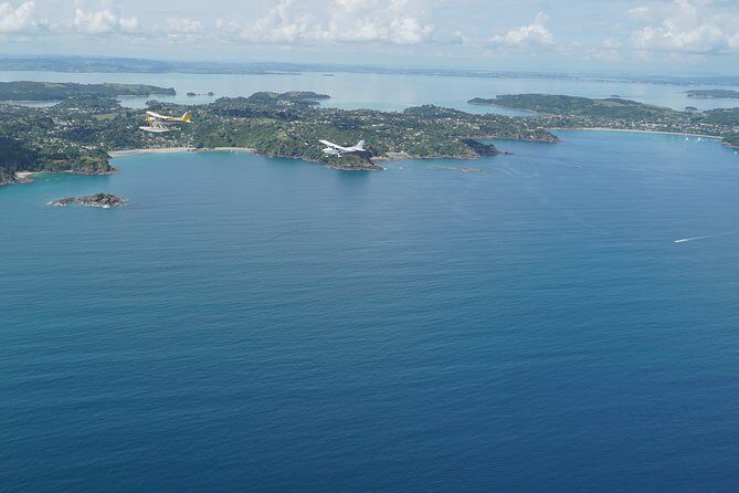 Waiheke Island - Fly and Dine (from North Shore Airport) - Who This Tour Is Perfect For