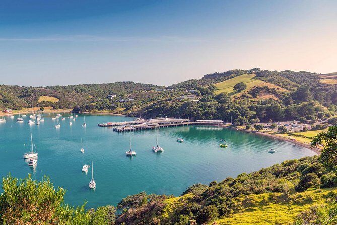 Waiheke Island - Fly and Dine (from North Shore Airport) - FAQ Section