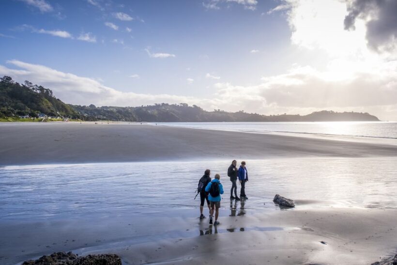 Waiheke Island: Forest and Beach Premium Guided Walk - Who Will Love This Tour?