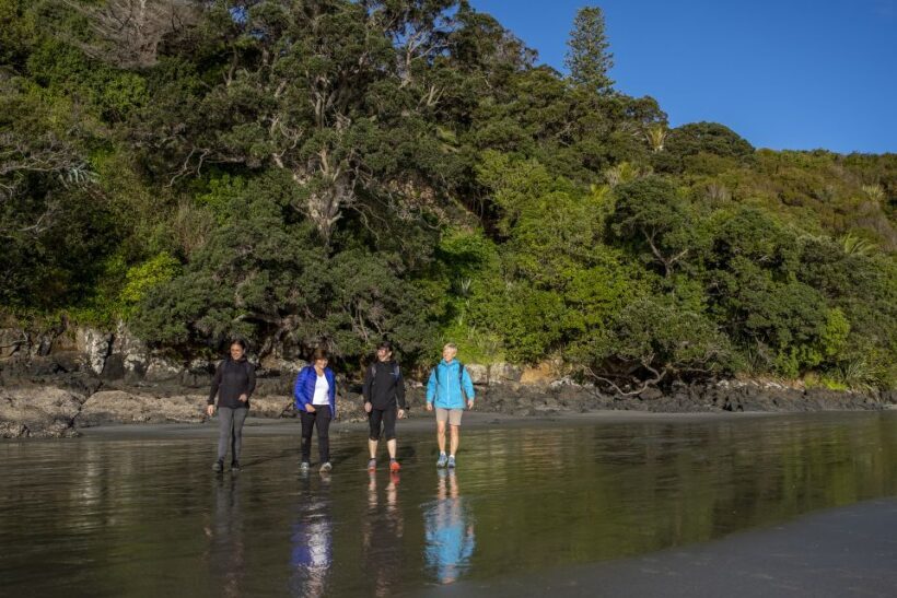 Waiheke Island: Forest and Beach Premium Guided Walk - Final Thoughts: Is This Tour Worth It?